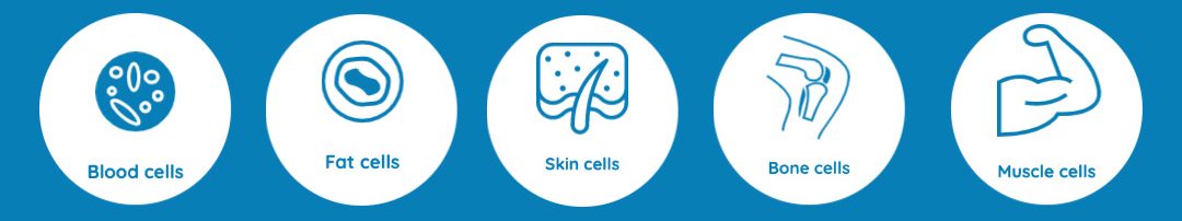 Cell Banking - UK Stem Cell & PRP Treatment - Jorja Healthcare ...